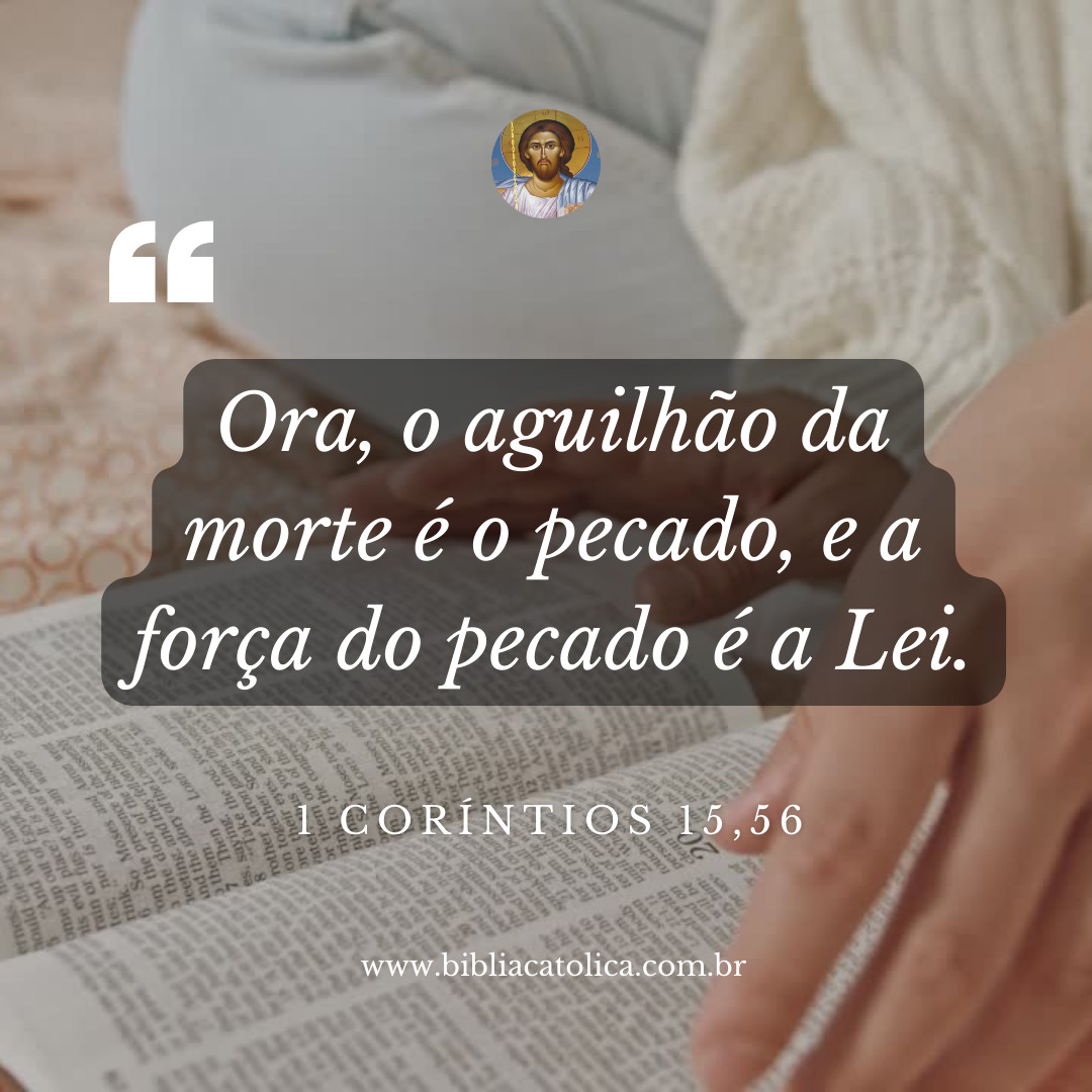 Evangelho do dia - Segunda-feira, 1º de janeiro de 2024 - Lucas 2,16-21 ...