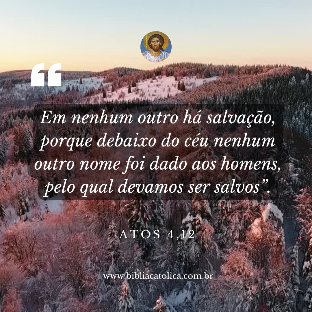 Qual é a importância da cura de Enéias e da ressurreição de Dorcas em ...