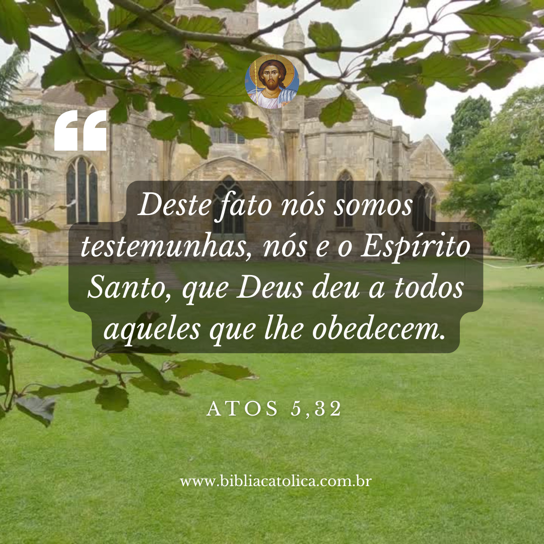 Arquivo Dicionário - Bíblia Católica Online