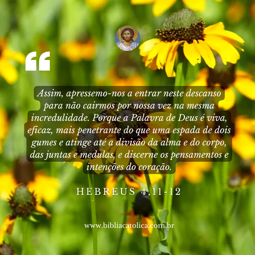 Maria - Bíblia Católica Online