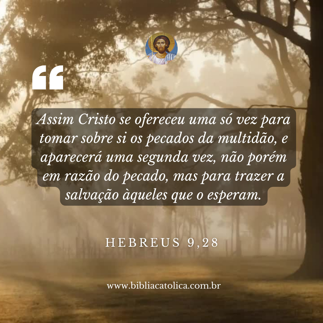 O Santíssimo e Diviníssimo Sacramento: O Poder da Adoração à Eucaristia ...