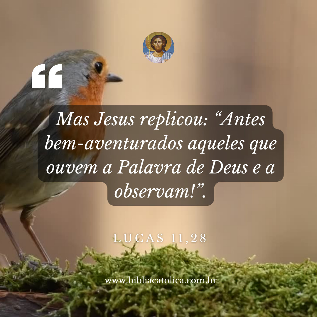 Qual é a importância da disciplina cristã de acordo com 1 Coríntios 9: ...