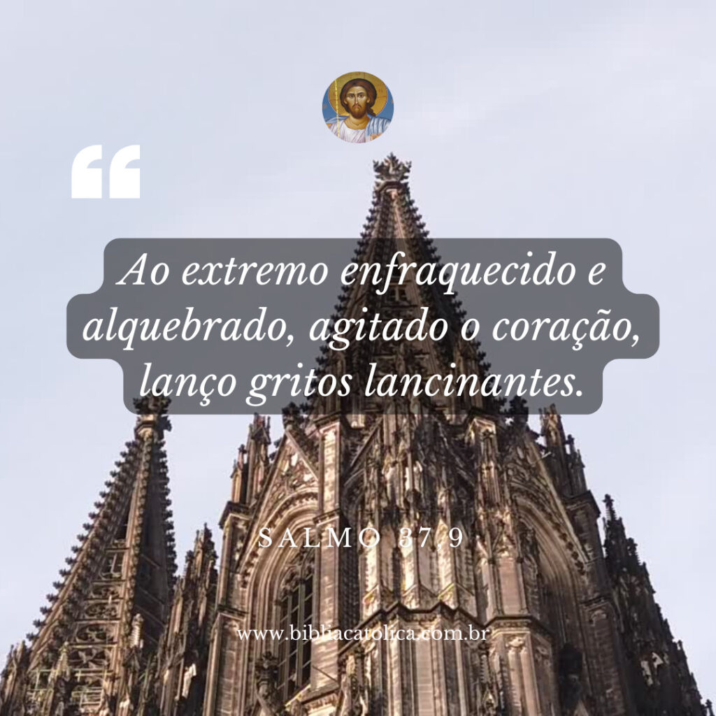 Salmo 94,18 - Bíblia Católica Online